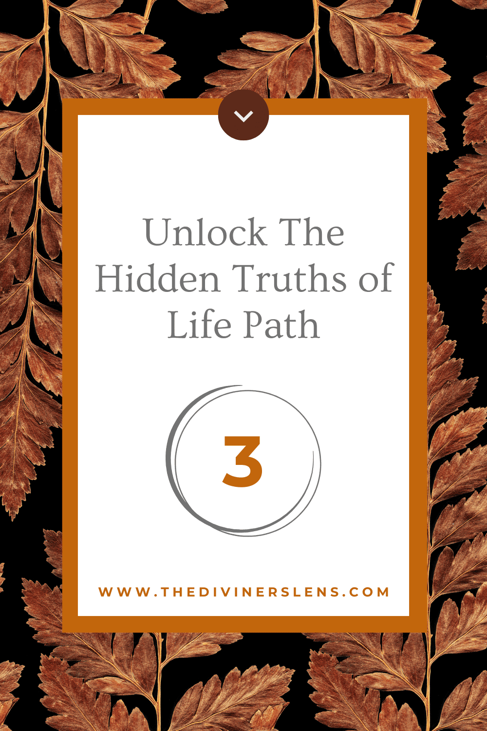Life Path Number 3: Numerology Insights, Compatibility, and Meaning ...